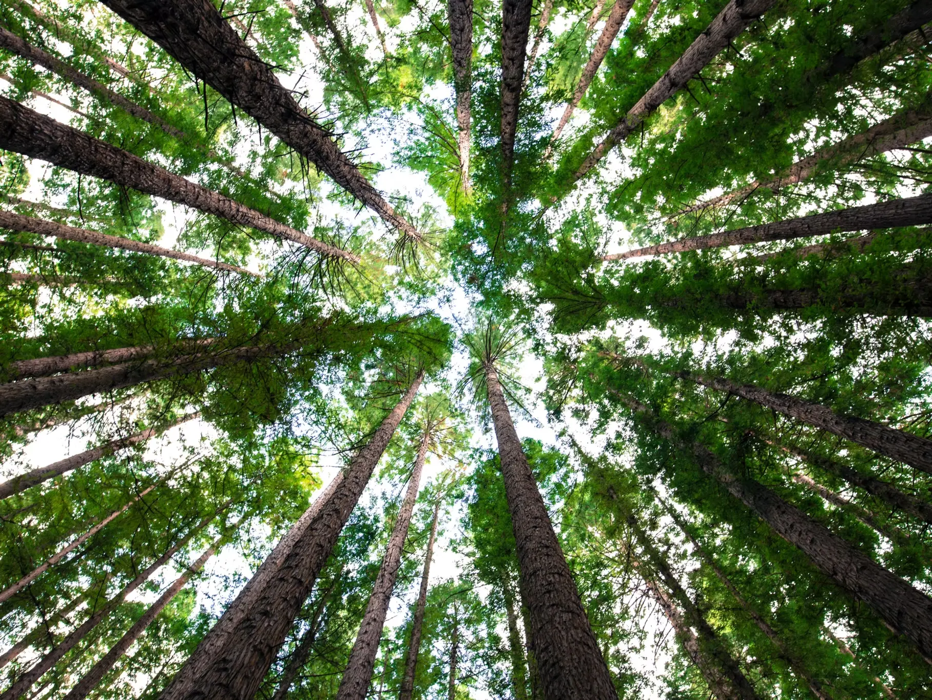 Conheça nossa reserva de preservação ambiental - Erbus